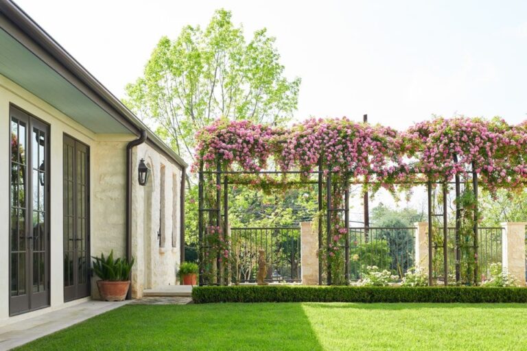 DWGD – David Wilson Garden Design