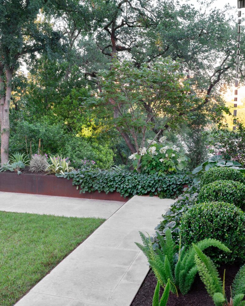 DWGD – David Wilson Garden Design