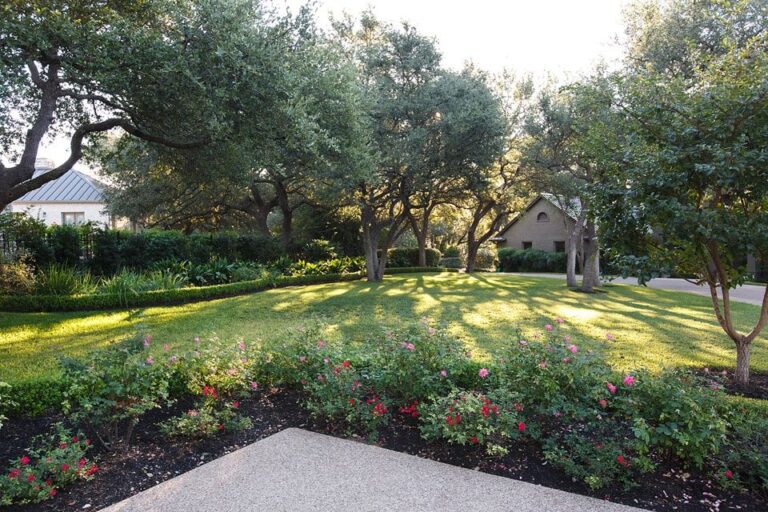 DWGD – David Wilson Garden Design