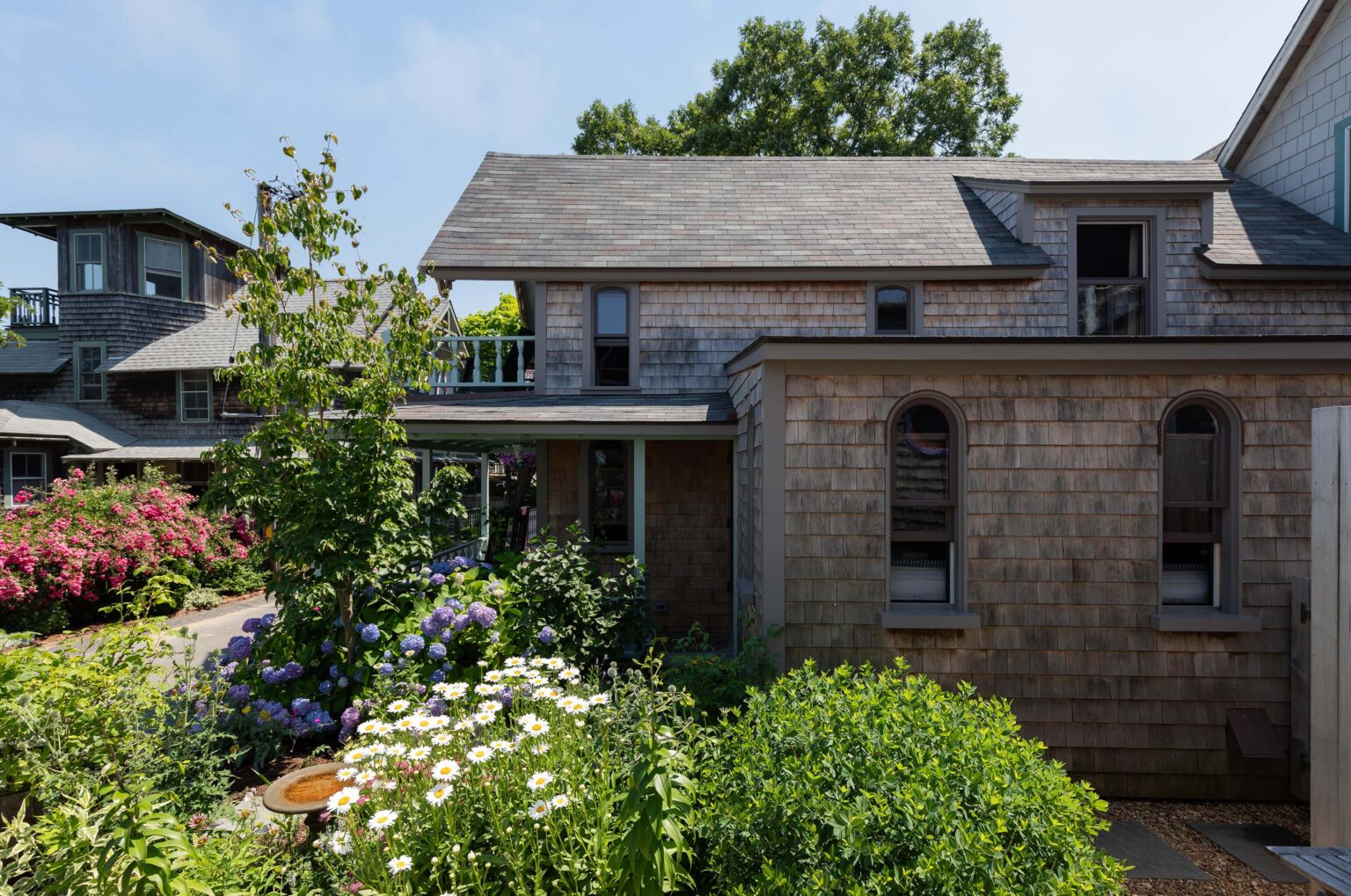 DWGD – David Wilson Garden Design